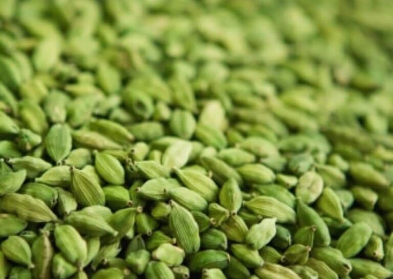 Cardamom – Viridium Tanzania Limited